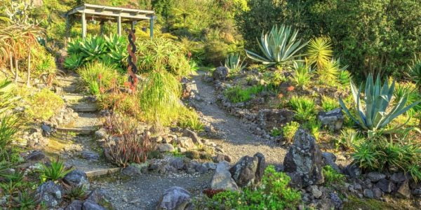 17 Hillside Landscaping Ideas to Beautify Your Hillside Yard in 2021 ...