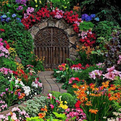24 Best Flower Hedge Ideas: #17 is Our Favorite! - Organize With Sandy