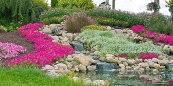 How to Build Rock Garden [In-Depth Guide] - Organize With Sandy