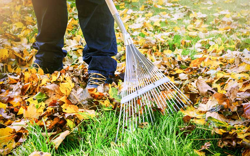 Metal or Plastic Rake? An Analysis - Organize With Sandy