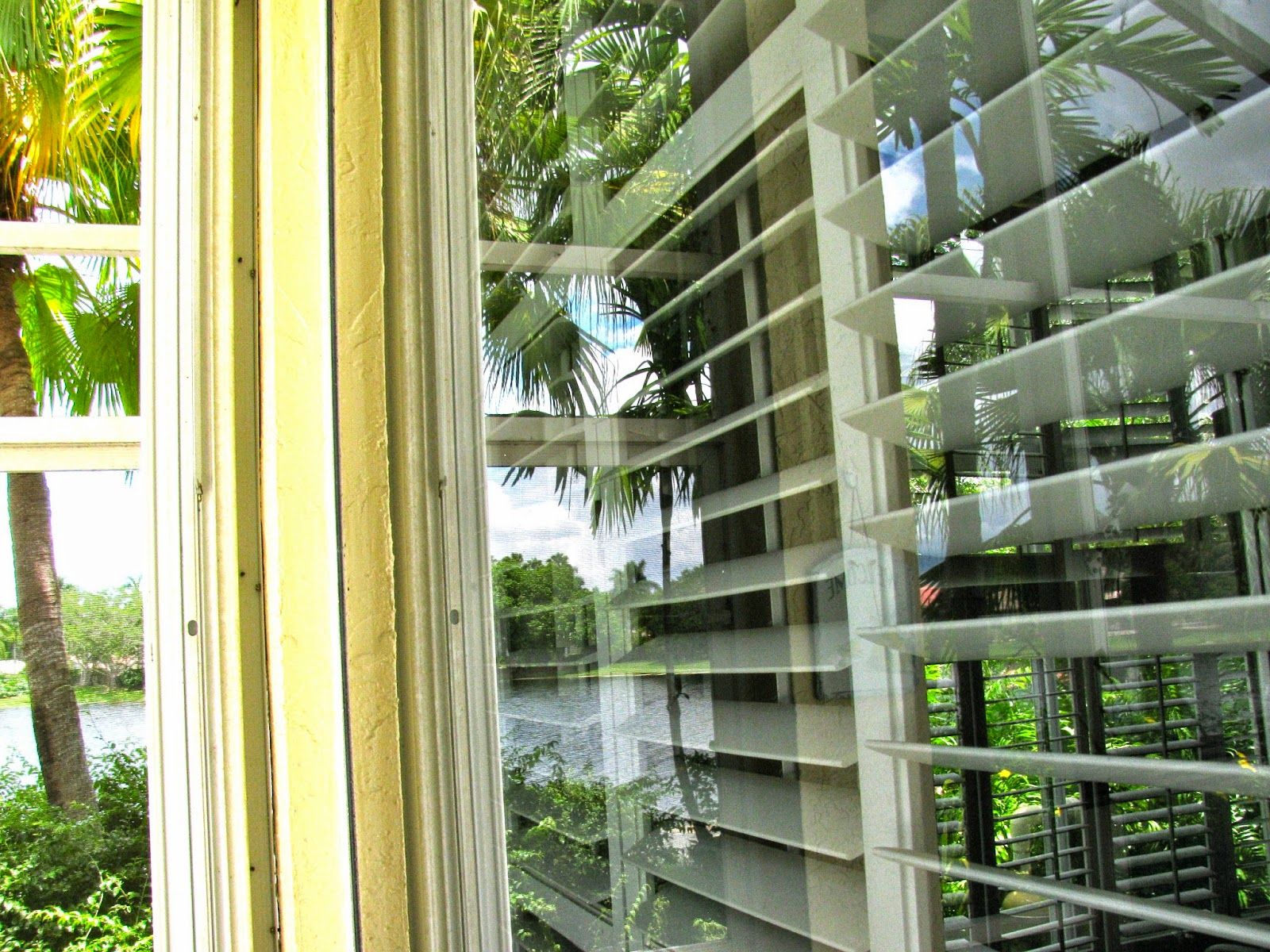 How to have squeaky clean windows in your house? - Organize With Sandy