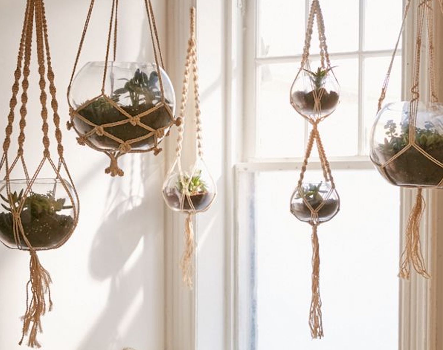 Best Macramé Plant Hangers for Indoor Plants - Organize With Sandy