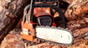Chainsaw Kickback Explained - Organize With Sandy