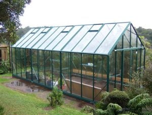 Are Greenhouses Bad? Everything You Need to Know - Organize With Sandy