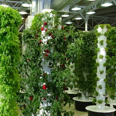 How To Make Your Own DIY Hydroponic Tower Garden - Organize With Sandy