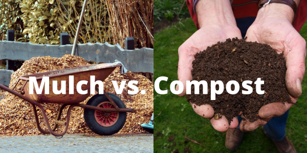 Mulch Vs Compost: Which is the Best? - Organize With Sandy
