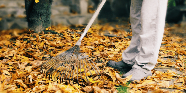 14 Best Leaf Raking Hacks Every Homeowner Should Know About - Organize ...