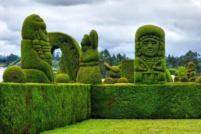 18 Amazing Shrub & Bush Sculptures Around the World - Organize With Sandy