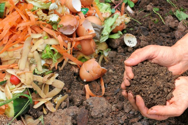 How to Build Your DIY Indoor Compost Bin - Organize With Sandy