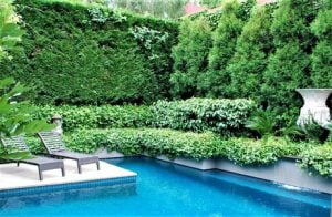 24 Best Flower Hedge Ideas: #17 is Our Favorite! - Organize With Sandy
