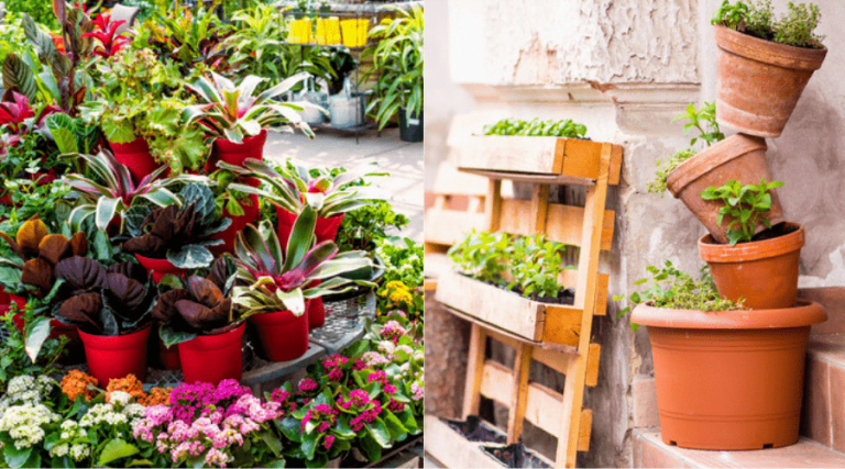 How to Make a Simple Stacked Garden? - Organize With Sandy