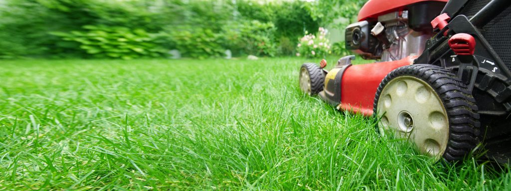 4 Lawn Care Tips For Perfect Grass - Organize With Sandy