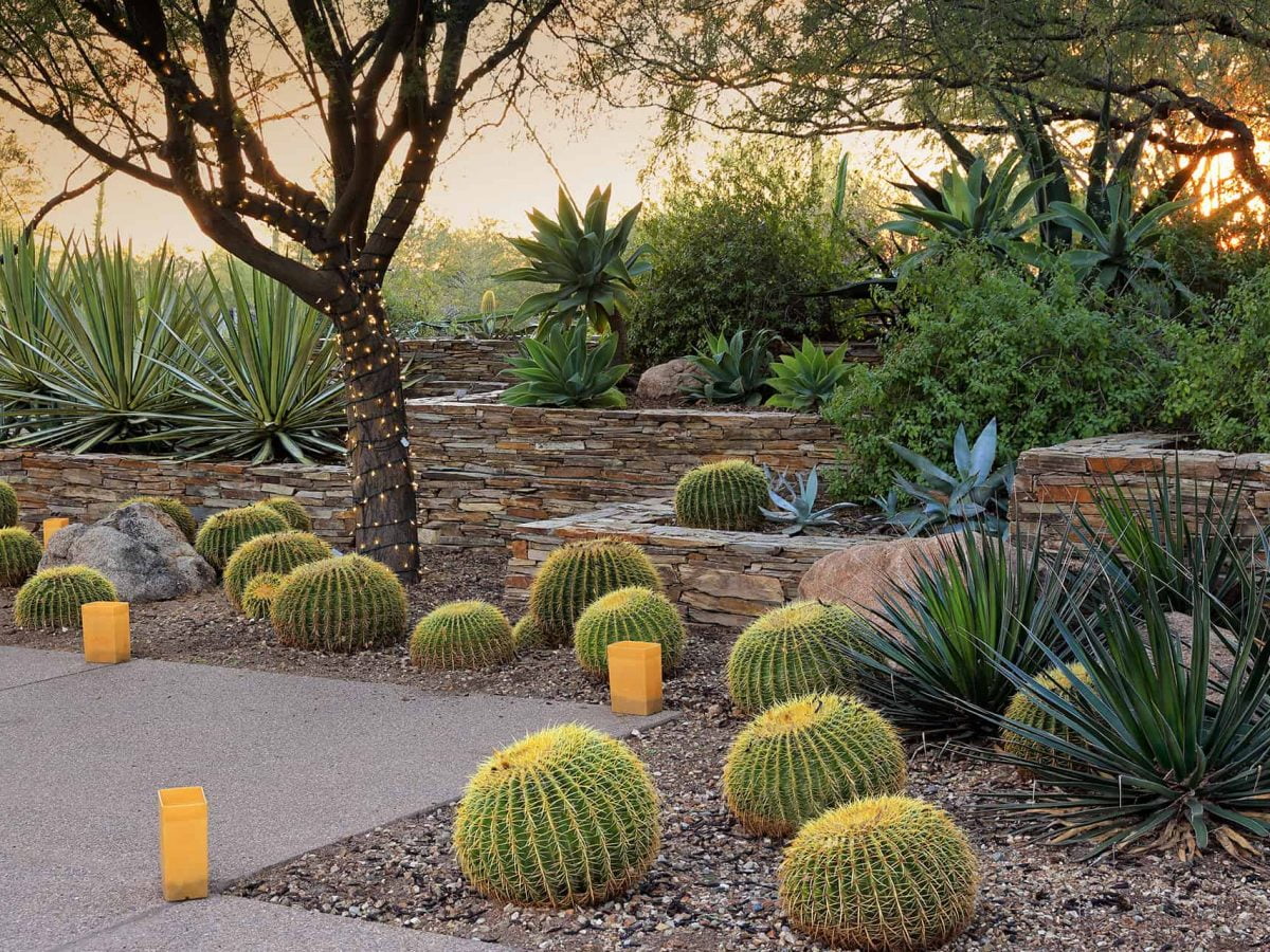 Mulching and Arizona Desert Landscaping: Explained - Organize With Sandy