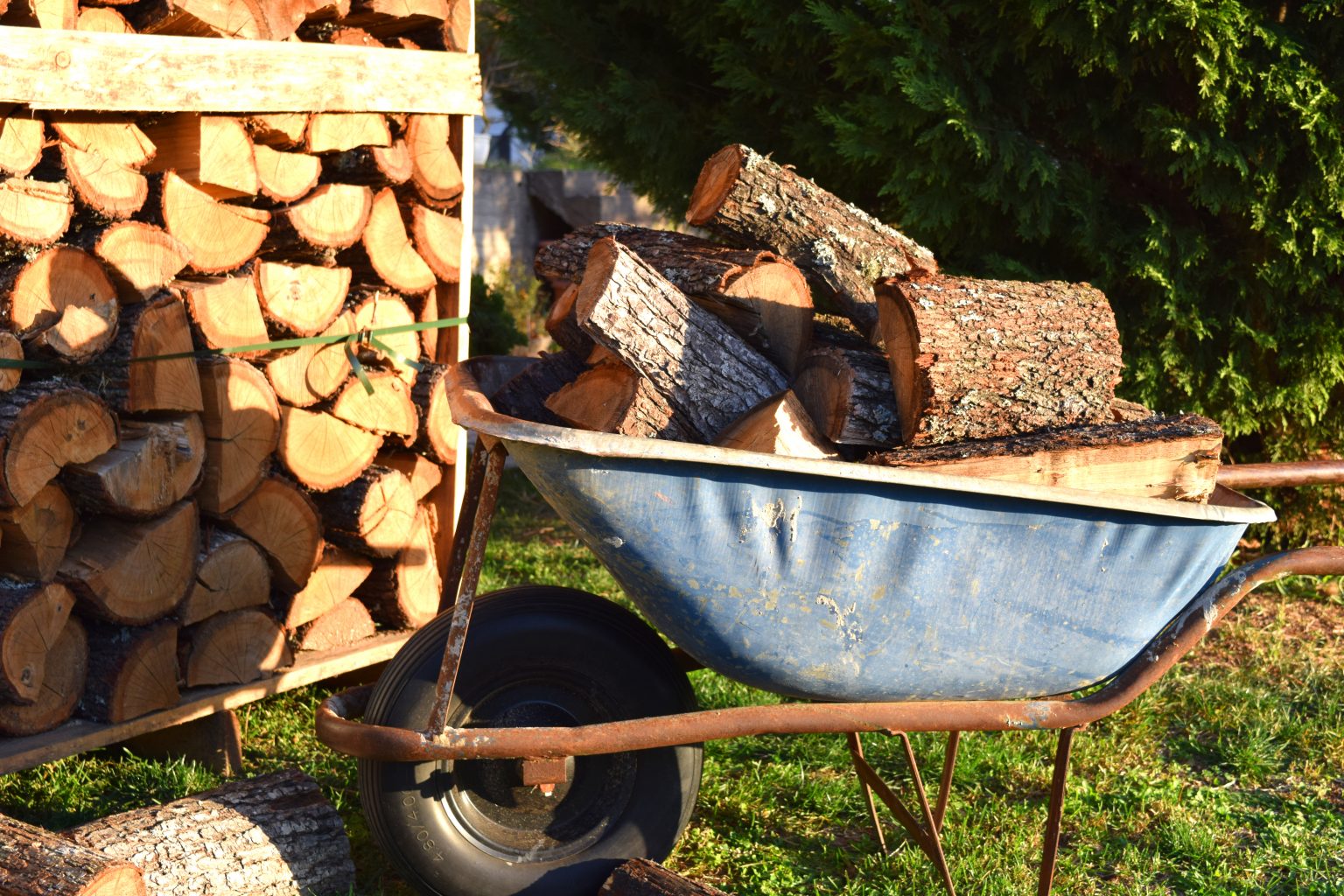 6 Essential Tools For Yard Work - Organize With Sandy