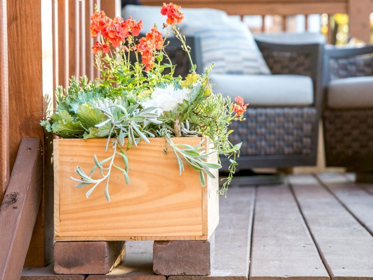 How to Stop Garden Planter from Rotting? - Organize With Sandy