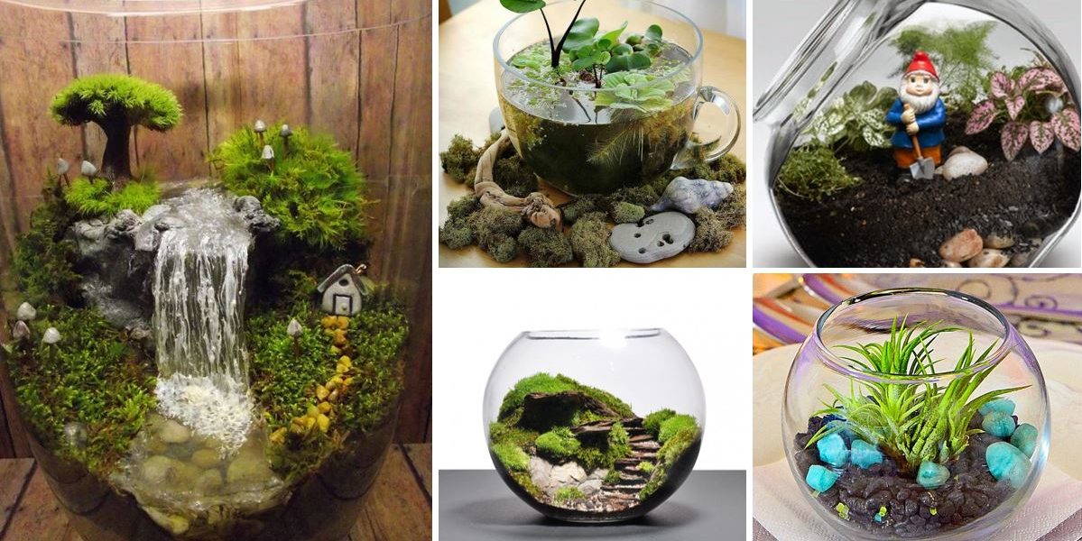 10+ Coolest Small Terrarium Ideas [#5 Is Gorgeous] - Organize With Sandy