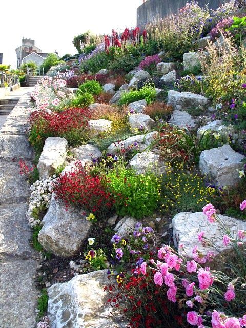 What Kind of Rock To Use On Hillside Landscaping? - Organize With Sandy