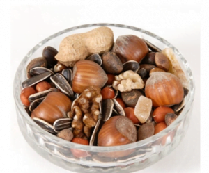 Red Squirrel Feeding Guide: What to Feed Them - Organize With Sandy