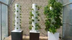 15 Amazing Ways to Make a DIY Vertical Garden - Organize With Sandy