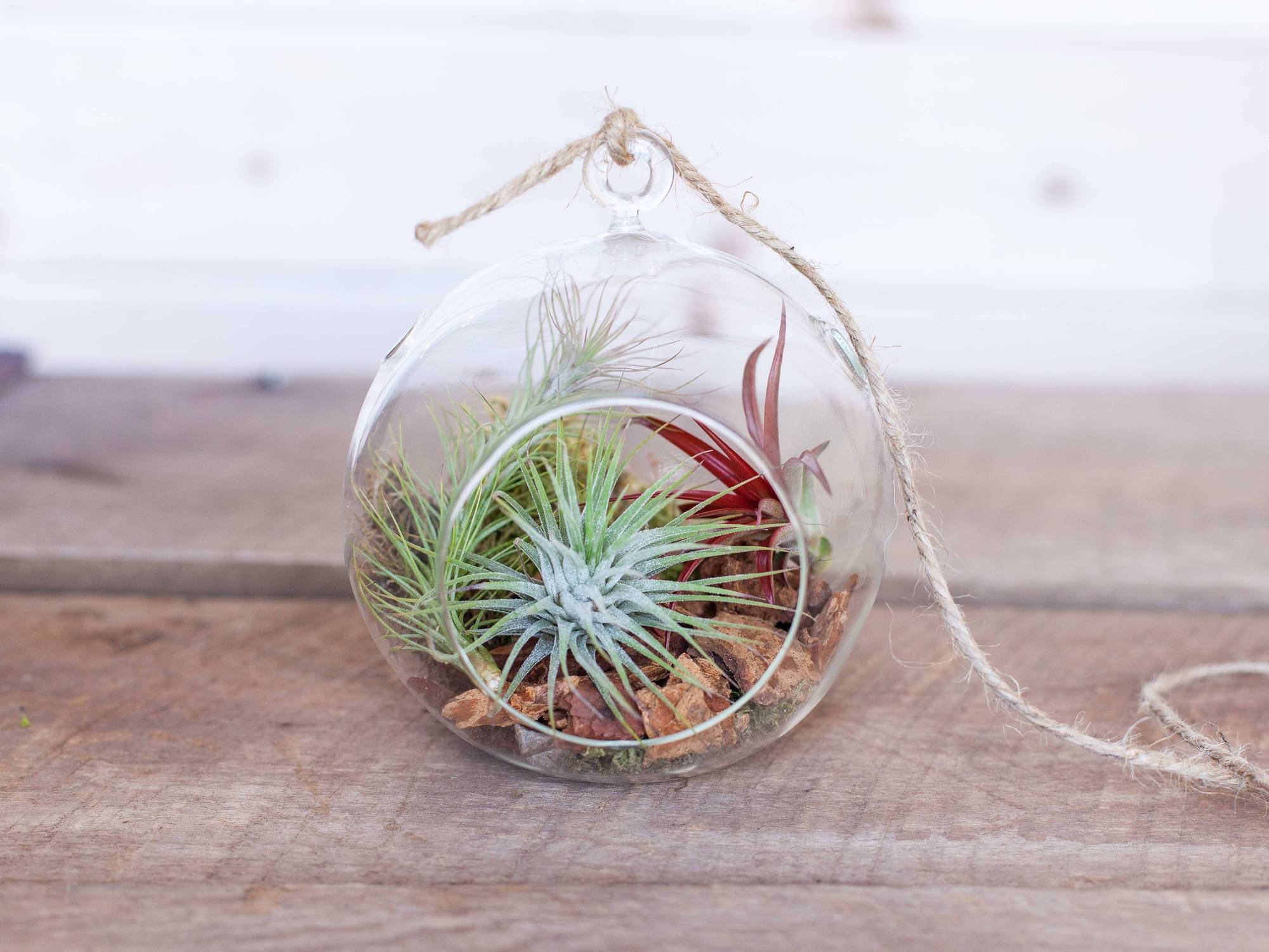 12 DIY Terrarium Ideas That Will Blow Your Mind: Relaxing and Creative ...
