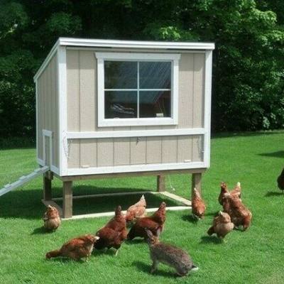 10+ Small Chicken Coop Plans: Build Amazing Hen House - Organize With Sandy
