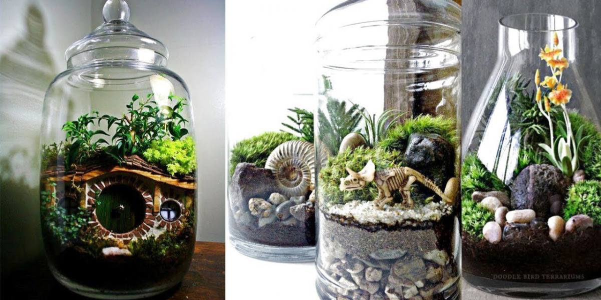 12 DIY Terrarium Ideas That Will Blow Your Mind: Relaxing and Creative ...