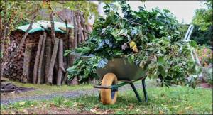 How Wheelbarrow Works: An Overview - Organize With Sandy