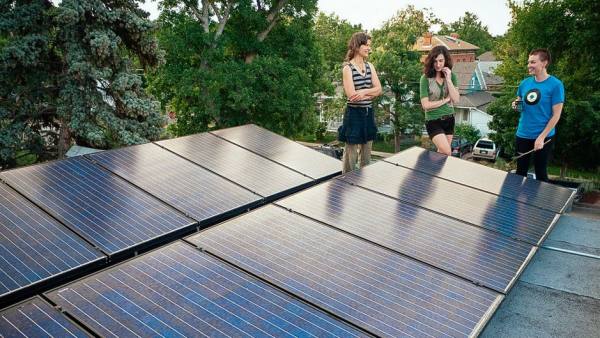 What Is a Solar Garden: The Ultimate DIY Energy Solution? - Organize ...