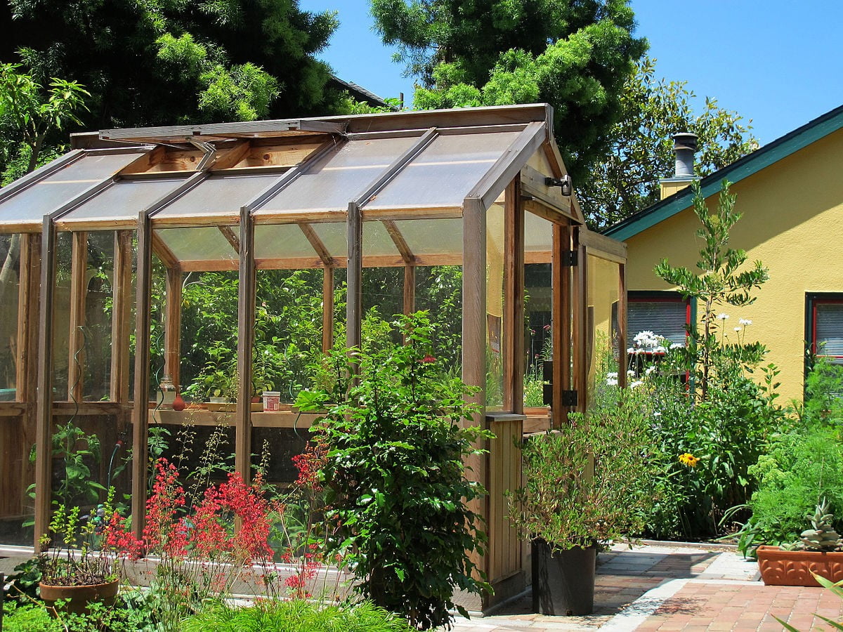 The History of Greenhouses: Why they are Called a "Greenhouse ...