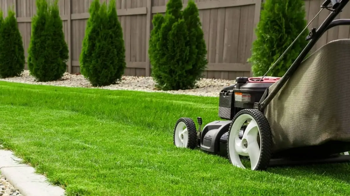 6 Essential Tools You Need for Perfecting Your Lawn - Organize With Sandy