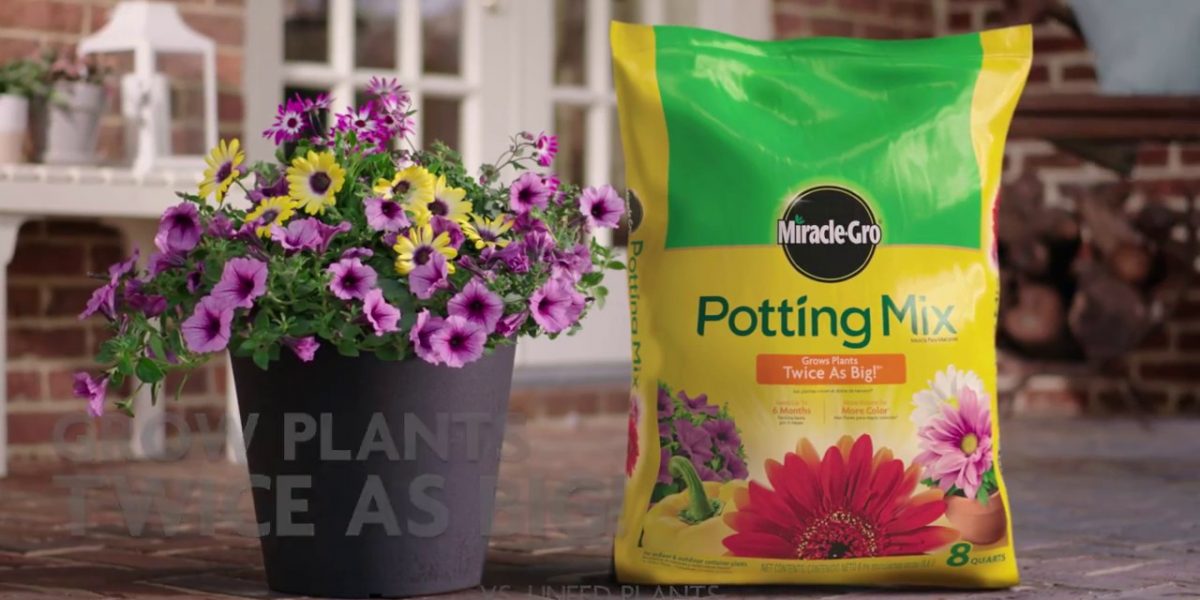 Miracle Grow Potting Soil: What Are the Ingredients? - Organize With Sandy