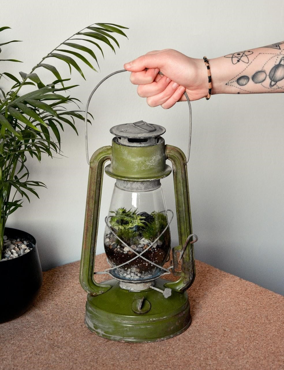 11 Plants That Can Thrive in a Small Closed Terrarium - Organize With Sandy