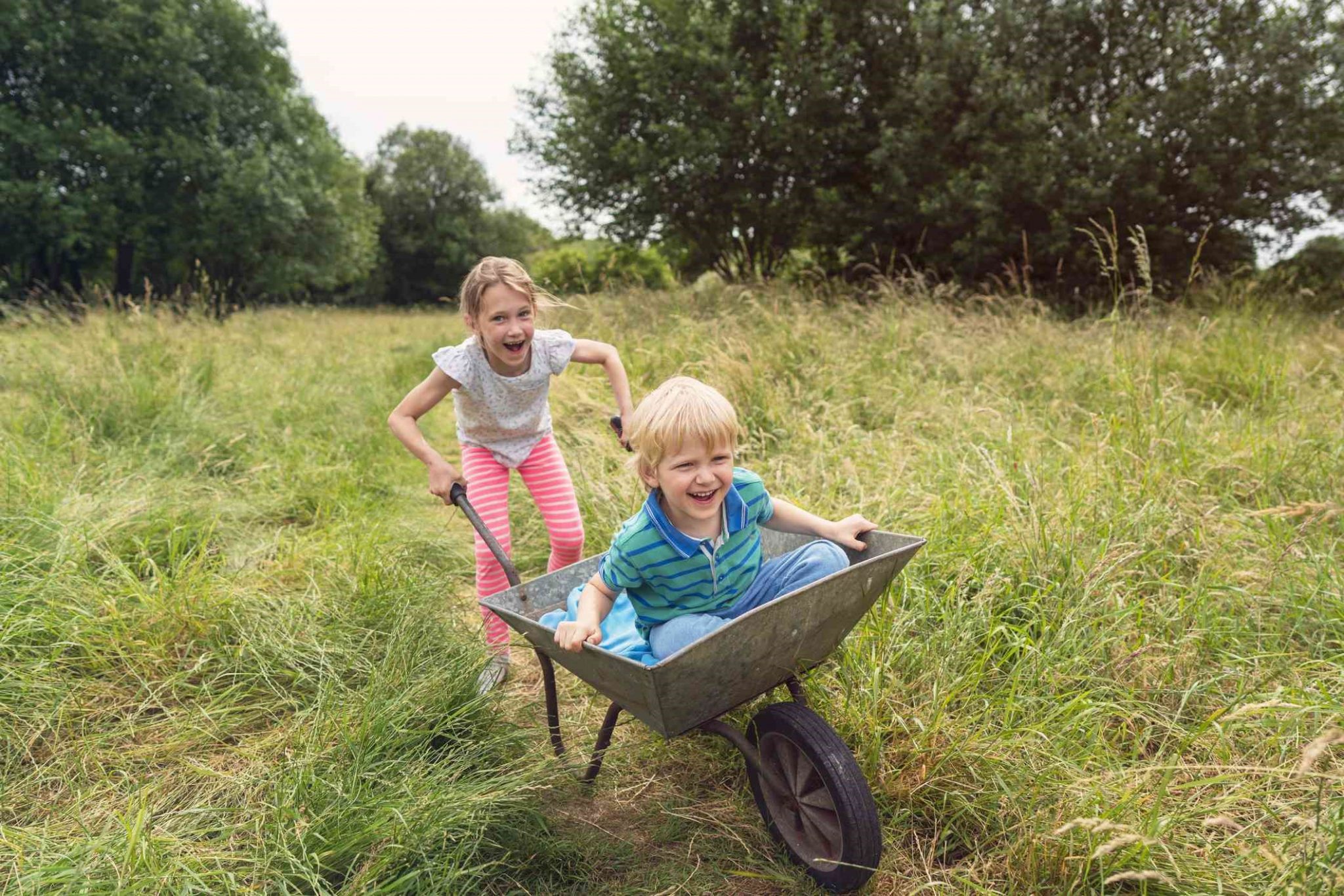 8 Amazing Ways to Use a Wheelbarrow - Organize With Sandy