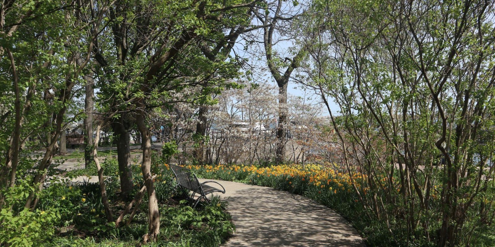 8 Tips To Design A Bike Lane Inside Your Garden