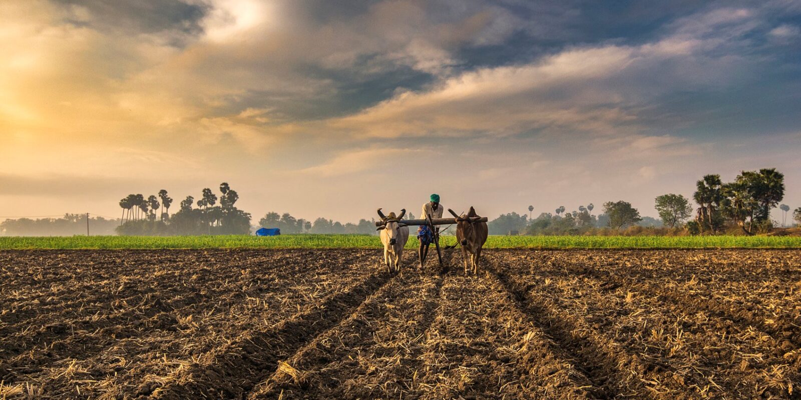 6 Essential Farming Steps - Organize With Sandy