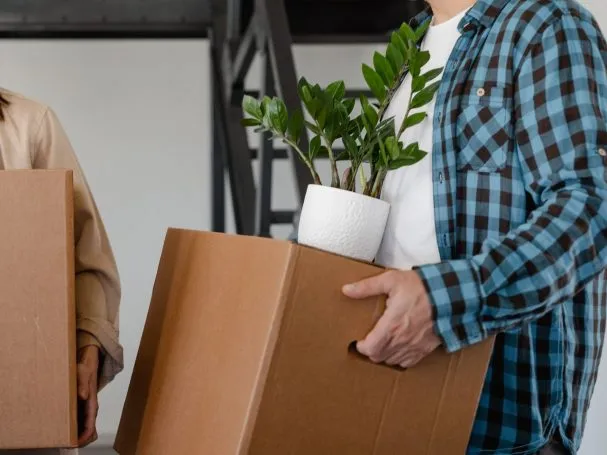 Plant Delivery Made Easy: How To Get Your Favorite Plants Delivered ...