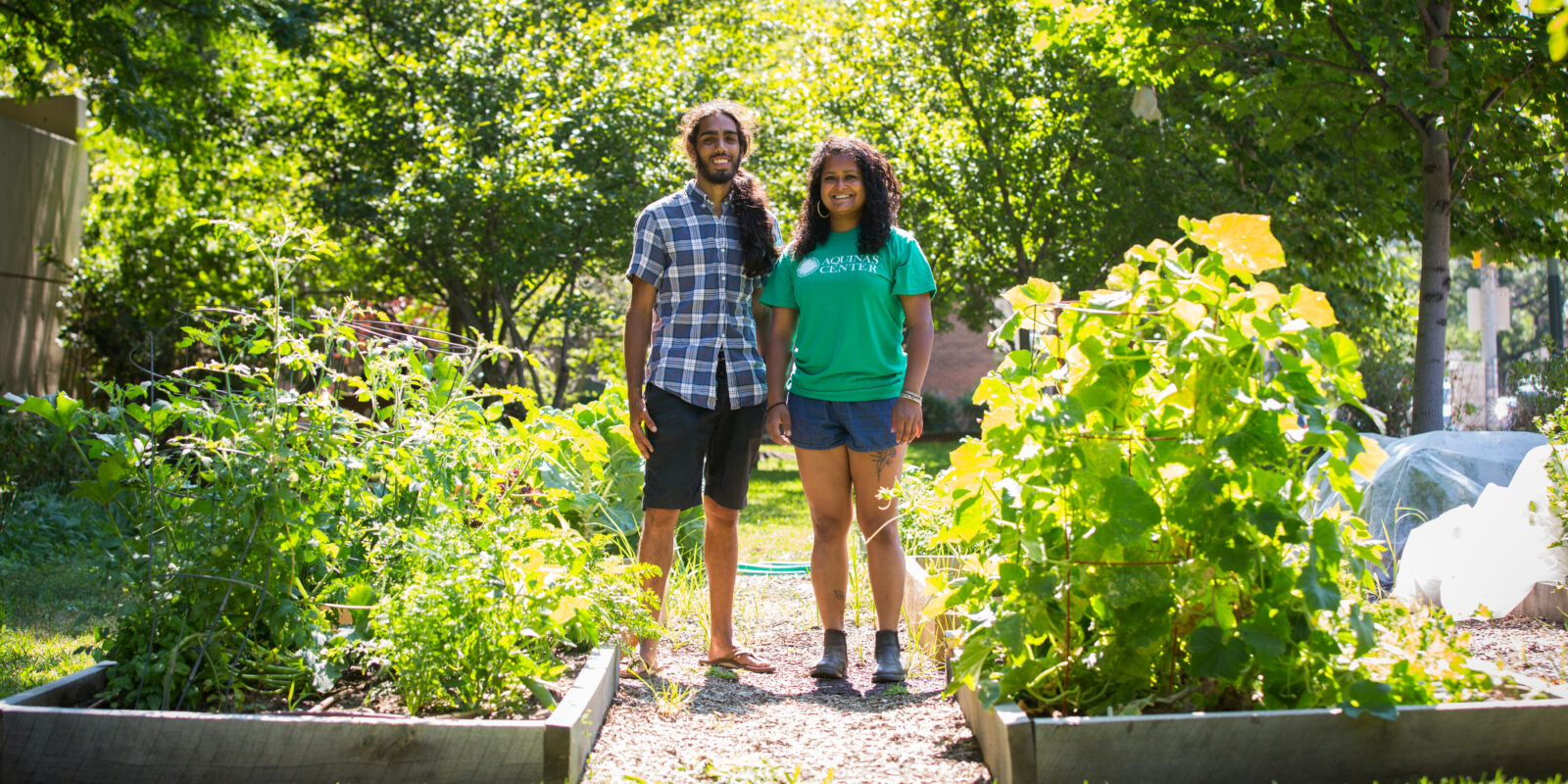 From Seed to Harvest: The Journey of Student-Run Gardens in Higher ...