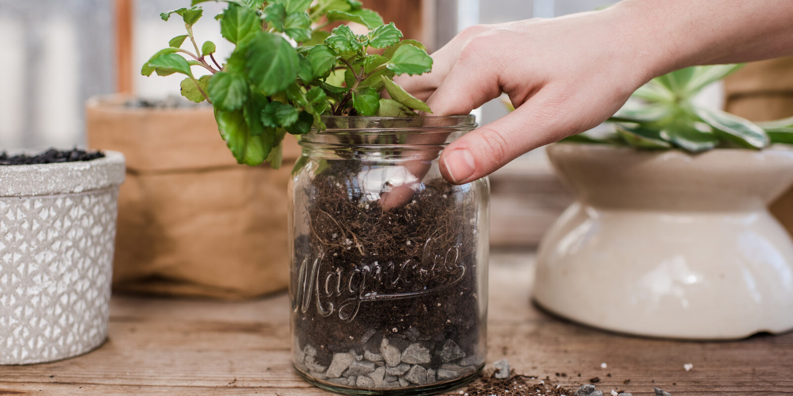 What Do You Put in The Bottom of a Planter without Drainage? - Organize ...