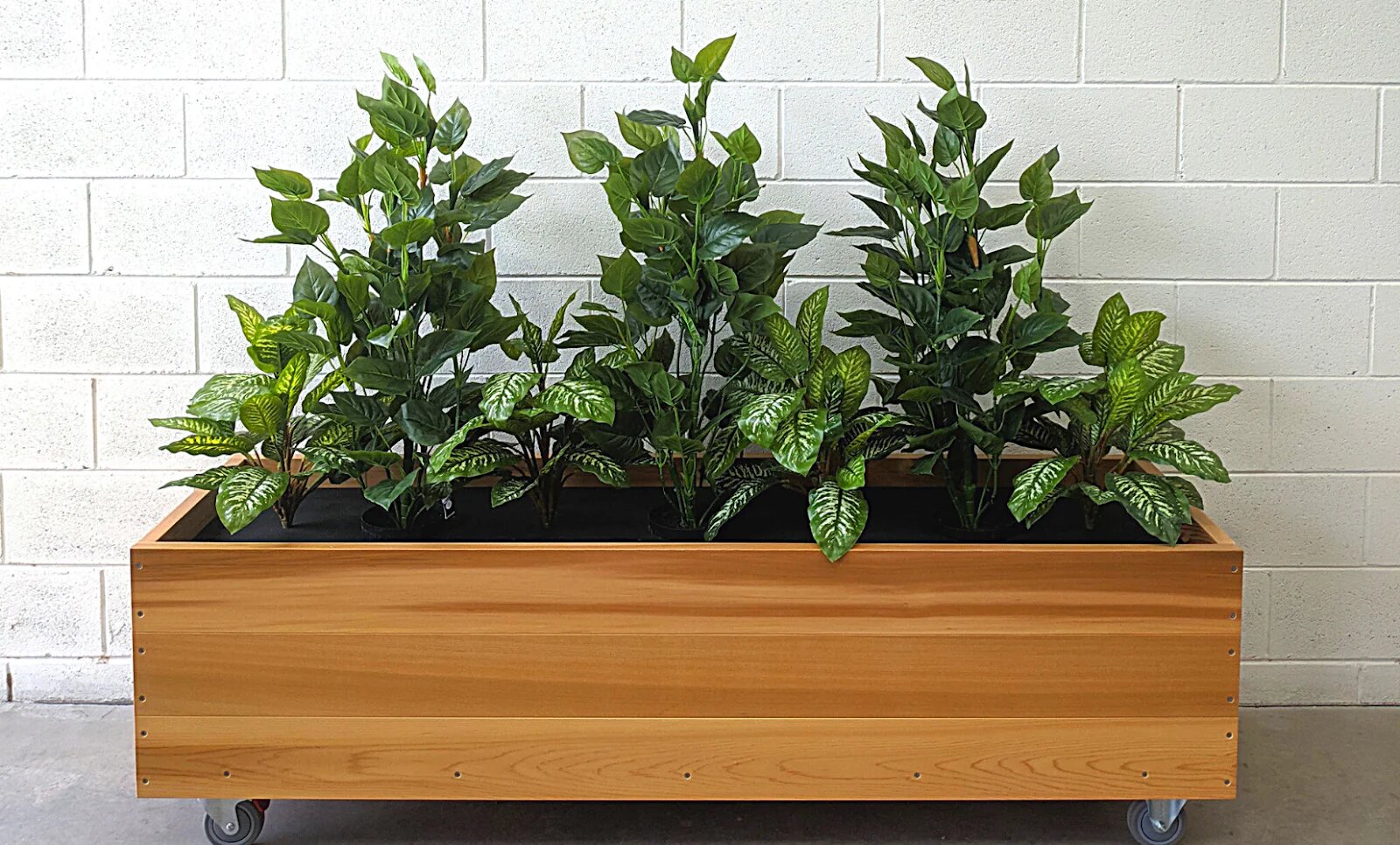 What to Plant in Planter Boxes - Organize With Sandy