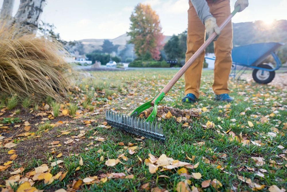How Much Should I Charge to Rake Leaves - Organize With Sandy